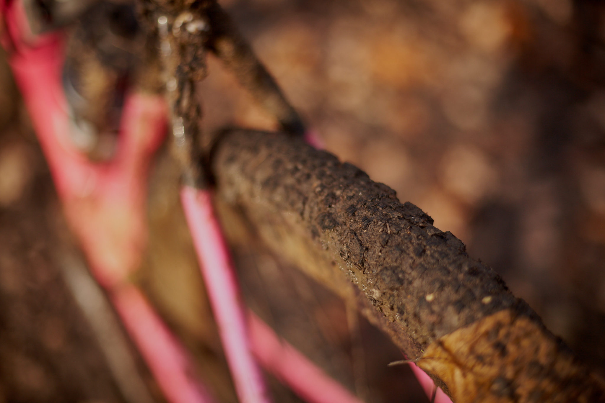Maxxis Ravager SS 700 x 40 gravel tyre review - ADVNTR.cc